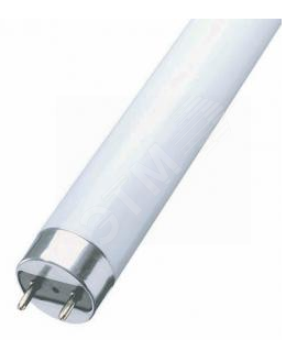 Лампа линейная люминесцентная ЛЛ 30вт L 30/765 G13 дневная Osram ...