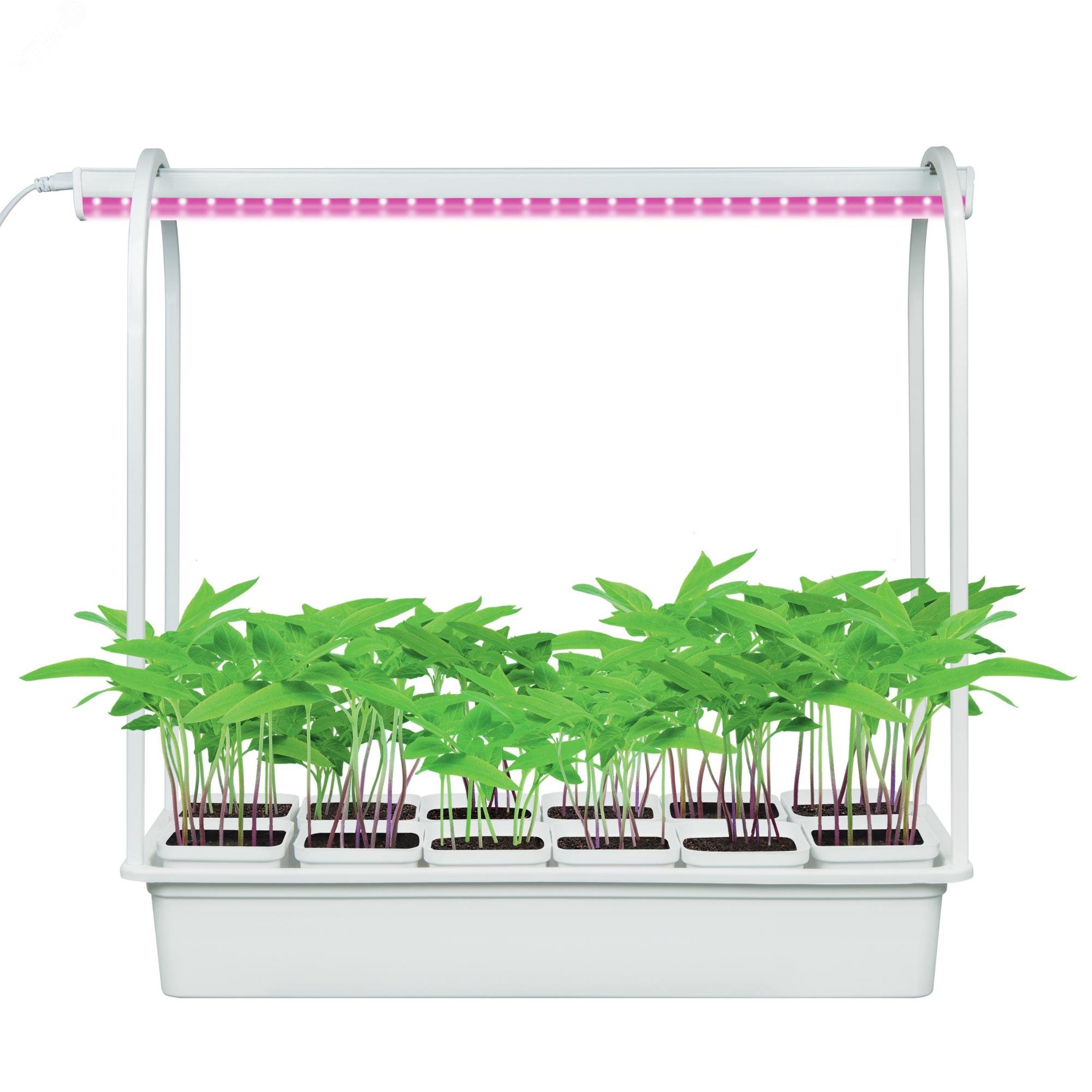 Набор Минисад ULT-P34-10W/SPSB IP40 WHITE 12 светильник для растений ...