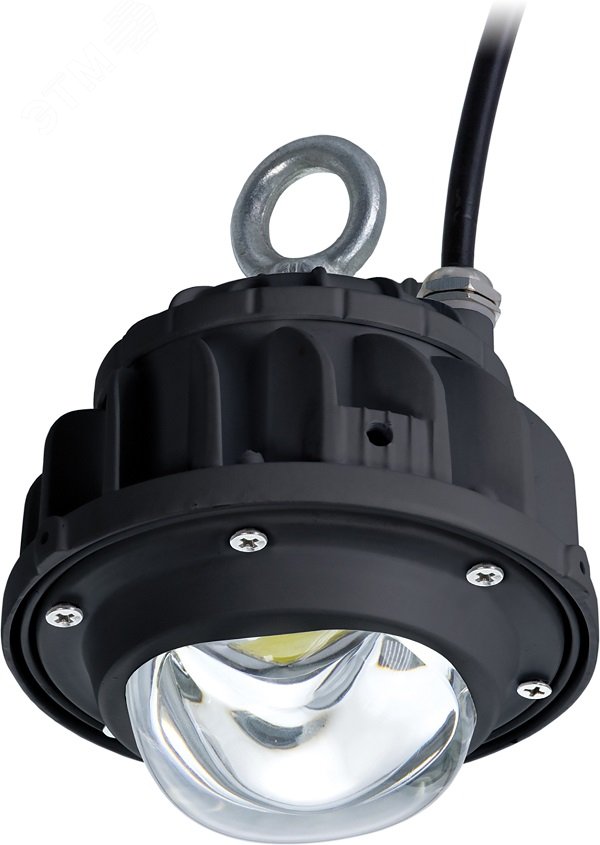 Светильник ACORN LED 20 RN1 D150 5000K with tempered glass 36 VAC G3/4 ...