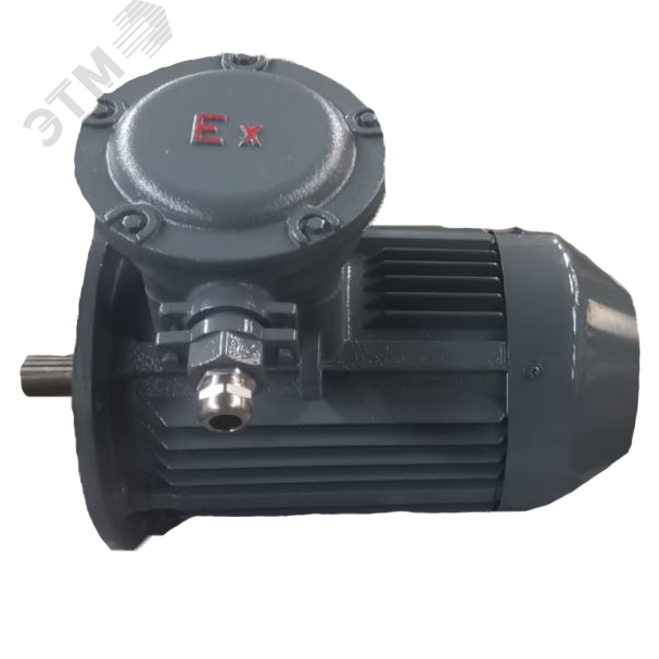 Электродвигатель взрывозащищенный YBX3 80M1-6 0,37 кВт 910 об/мин 380 В IP55 IC411 IM 3081 IE3 ...