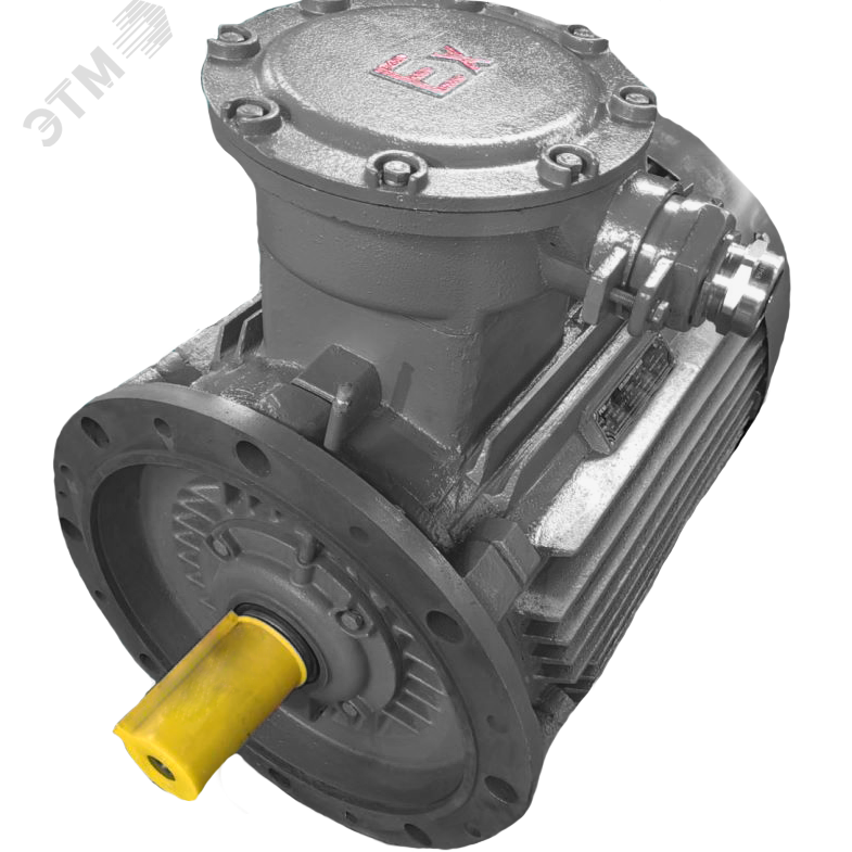 Электродвигатель взрывозащищенный YBX3 355M1-6 185 кВт 990 об/мин 380/660 В IP55 IC411 IM 3011 ...