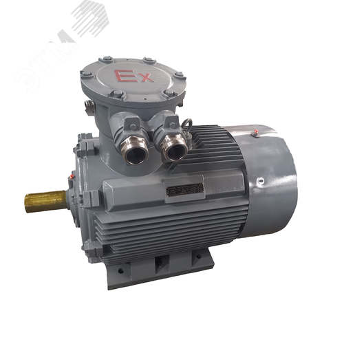Электродвигатель взрывозащищенный YBX3 112M-4 4 кВт 1445 об/мин 380 В IP55 IC411 IM 1081 IE3 1 ...