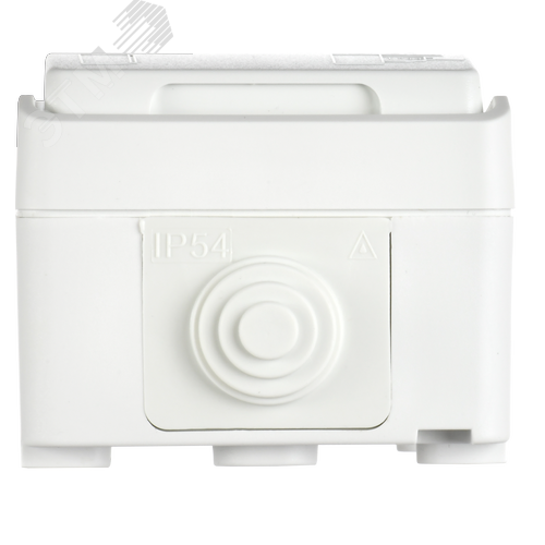 FORS Розетка 1-местная с заземлением для открытой установки 16А IP54 РСб20-3-ФБ белый артикул ...