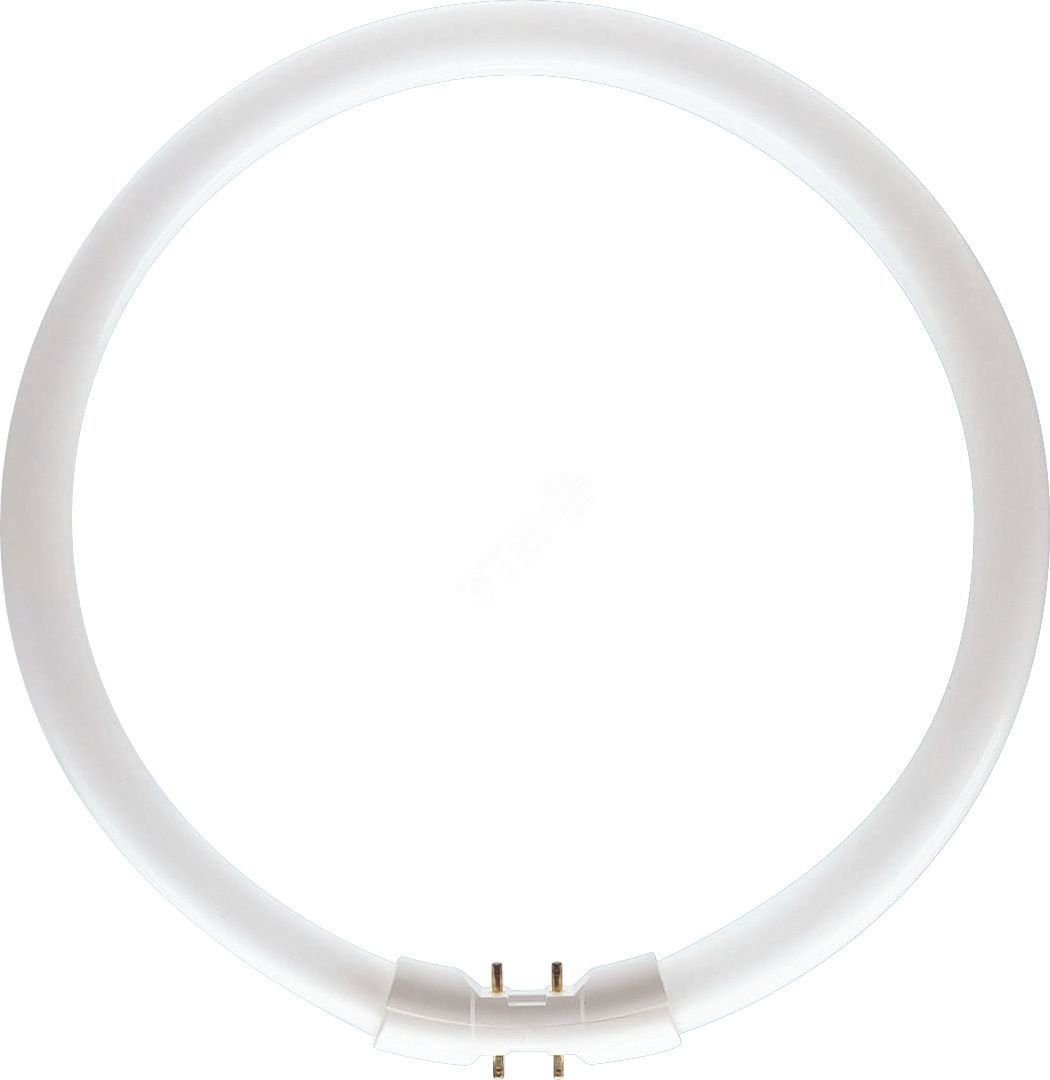 Лампа MASTER TL5 Circular 60W/830 1CT/10 (927966083013) PHILIPS купить цена